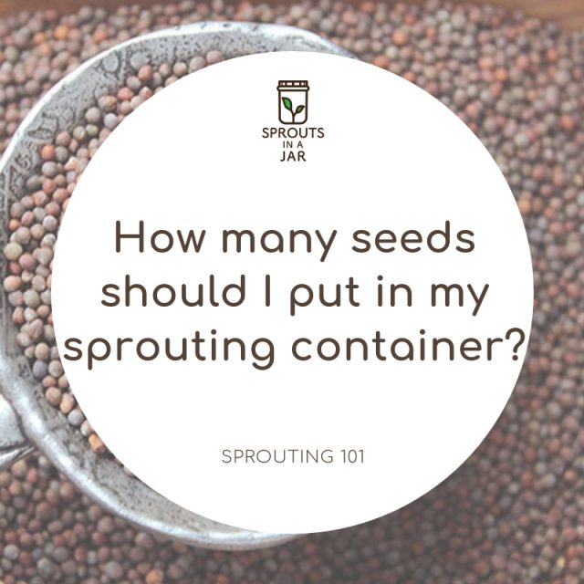 sprouting 101 Archives - Sprouts In A Jar