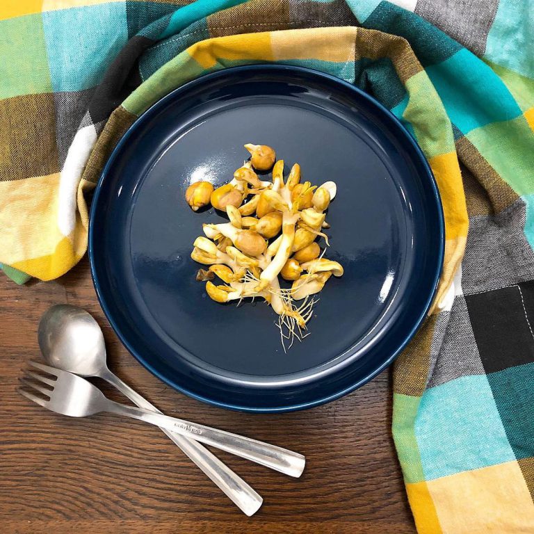 Learn How to Sprout Peanuts - Sprouts In A Jar